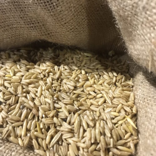 Sac d'avoine aplatie pour l'alimentation animale