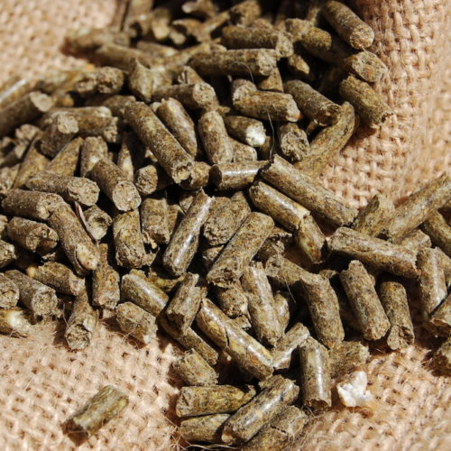 Aliments, graines, céréales pour chevaux - Graineterie de Wadicourt